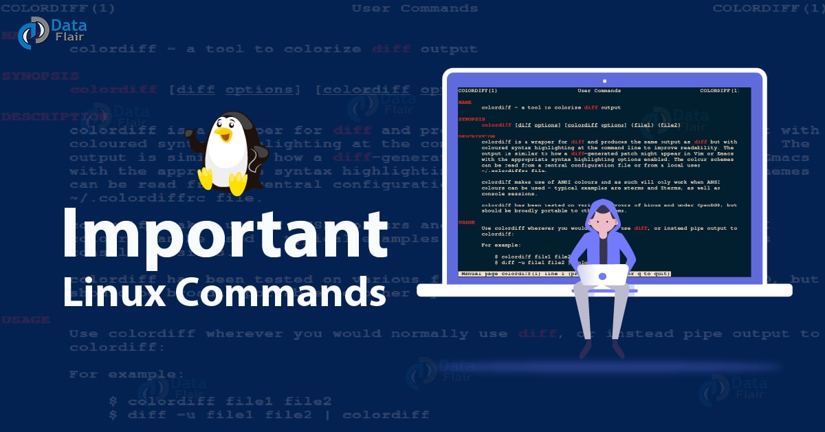 Linux Commands for Appending Multiple Lines to a File - Tech Chronicles